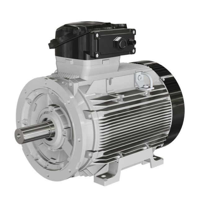 Flammenbeständiger Motor - W-EF series - Wolong Electric Group ...