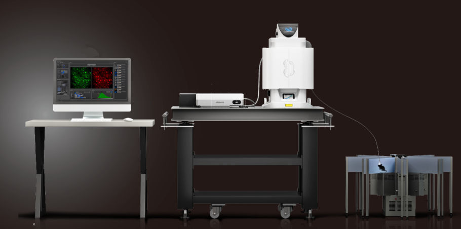 2-Photonen---Mikroskop - SUPERNOVA-100 - Beijing Transcend Vivoscope Co ...