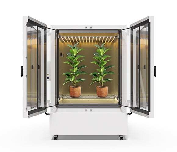 Wachstumskammer für Pflanzen - KBF PRO - BINDER - auf Rollen