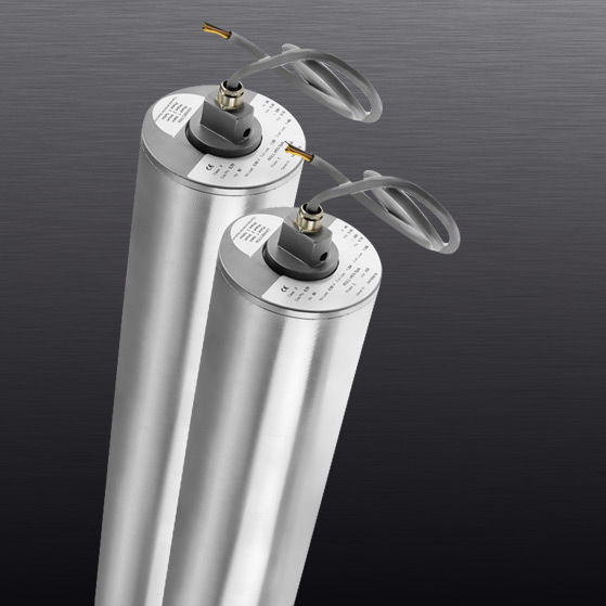 Trommelmotor für Bandförderer - roll-ven spa - mit Riemenantrieb ...