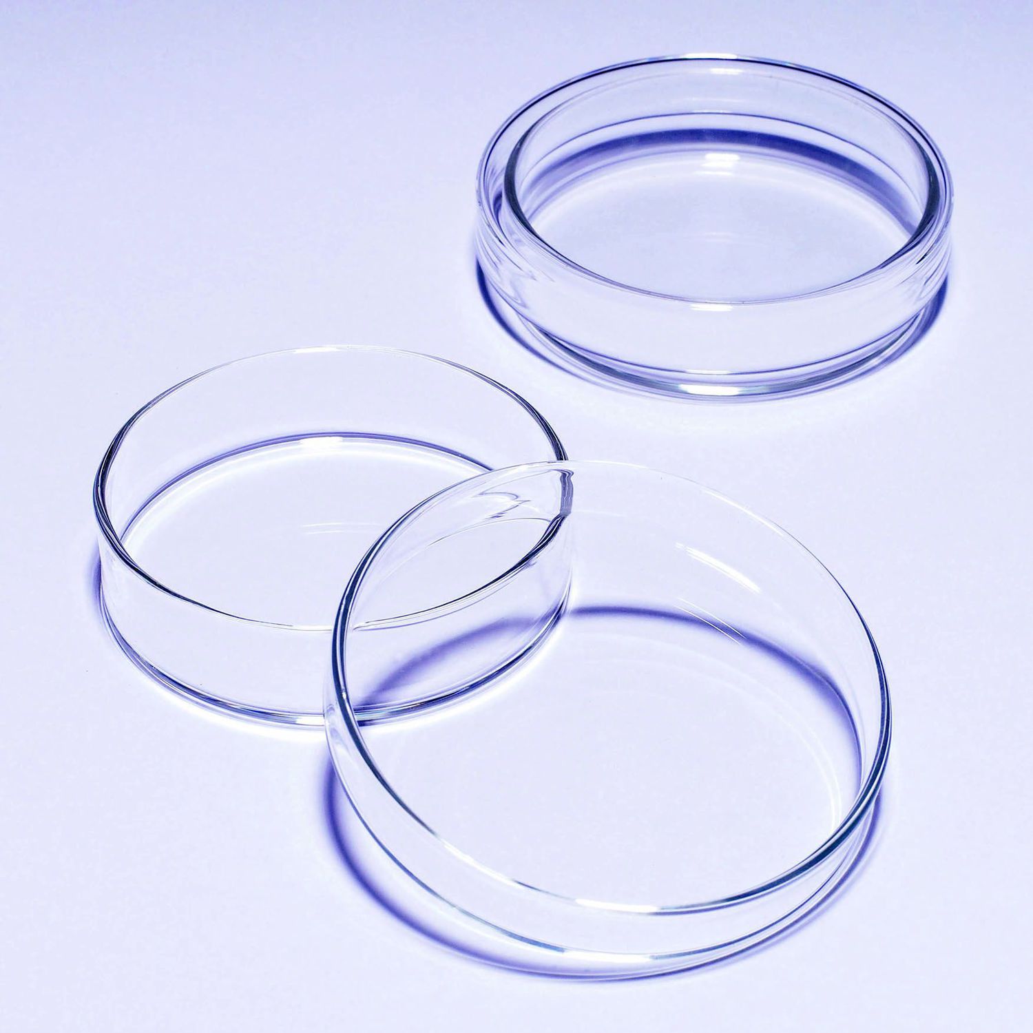 Glas-Petrischale - 1480 series - SciLabware Limited