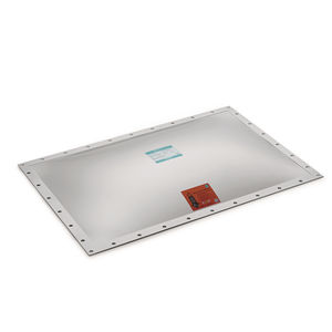 Explosions-Berstscheibe - ODV/ODU - REMBE® GmbH Safety + Control