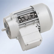 Asynchronmotor - Walther Flender - dreiphasig / 400 V / robust